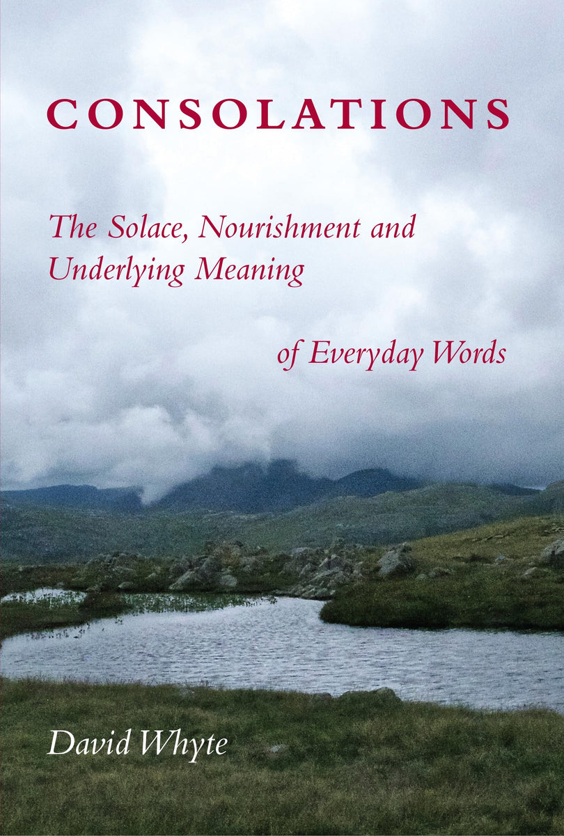 Consolations: The Solace, Nourishment and Underlying Meaning of Everyd ...